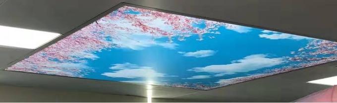 Virtual Skylights Mri Compatible Led Lighting Ceiling Panel