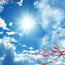 Virtual Skylights Mri Compatible Led Lighting Ceiling Panel